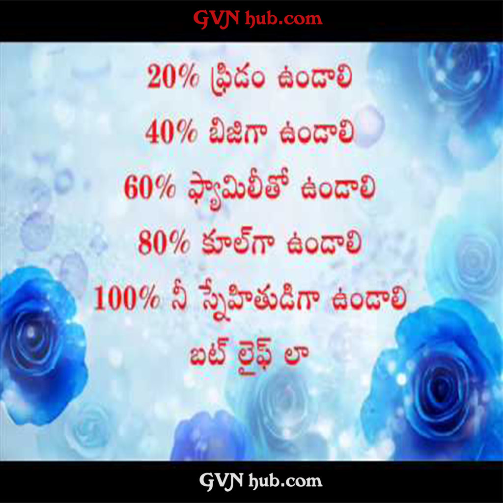 Punch Dialogues in Dictator - The Hans India - GVN Hub