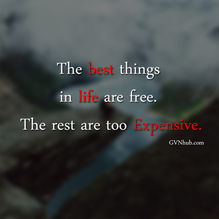 Cheer up with these funny quotes about happiness - GVN Hub