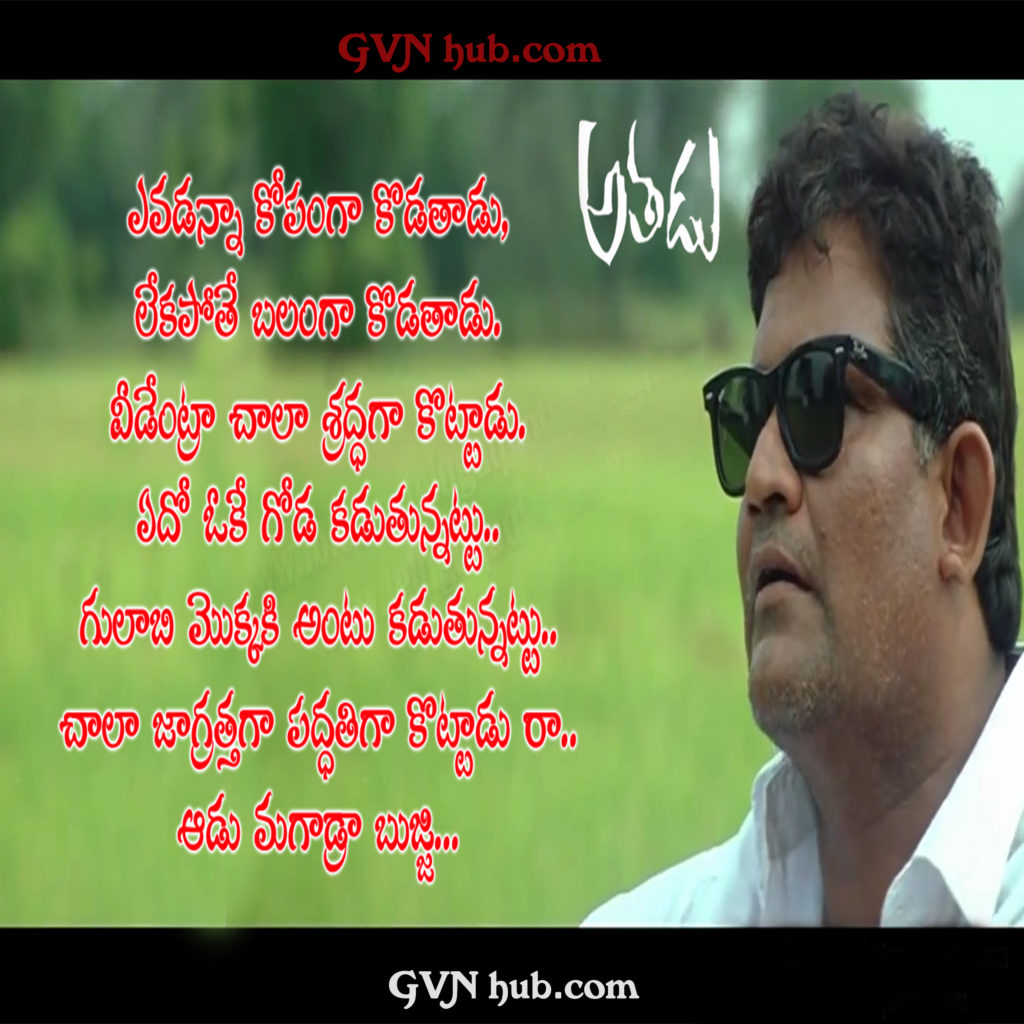 Punch Dialogues in Dictator - The Hans India - GVN Hub