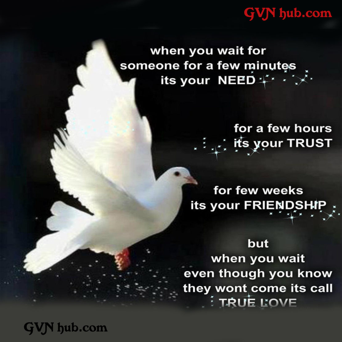 15 Best Heart Touching Miss You Quotes - GVN Hub